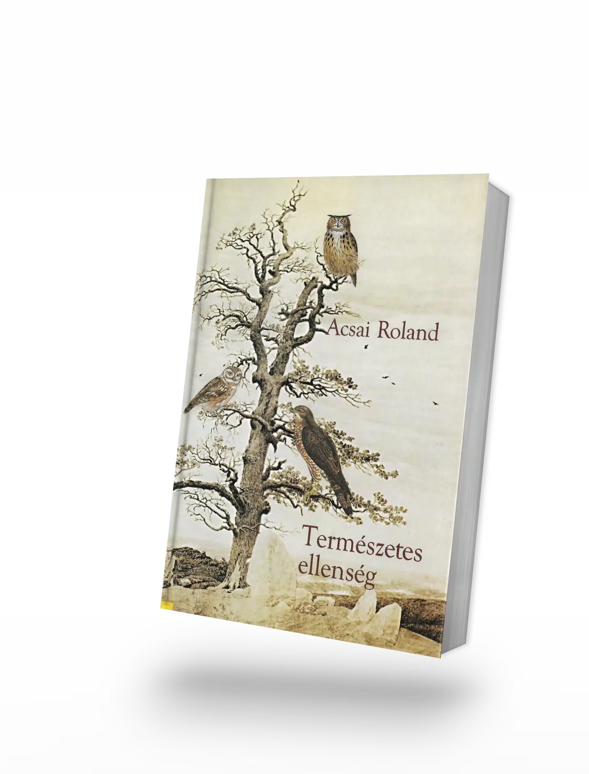 Acsai Roland: Természetes ellenség - Kijárat Kiadó